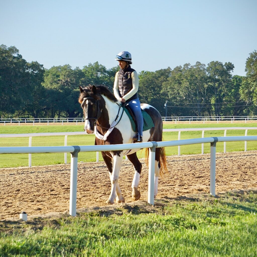 Our Team - Niall Brennan Stables